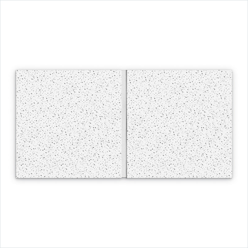 Armstrong FINE FISSURED SECOND LOOK Ceiling Tiles – Kanopi by Armstrong