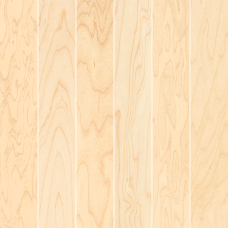 WoodWorks® Vector® – Kanopi by Armstrong