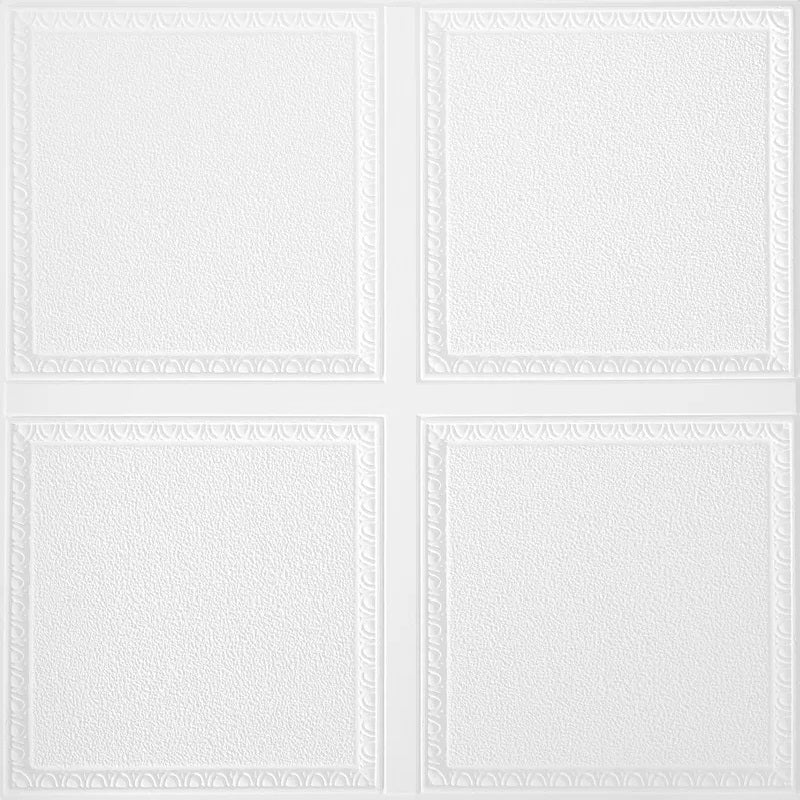 Armstrong Ceiling Tile Installation