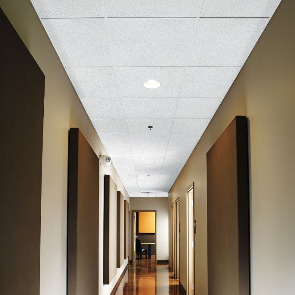 Armstrong 12x12 Ceiling Tiles