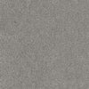 Tectum® DesignArt® - Popular Colors Sample Bundle – Kanopi by Armstrong