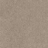 Tectum® DesignArt® - Popular Colors Sample Bundle – Kanopi by Armstrong